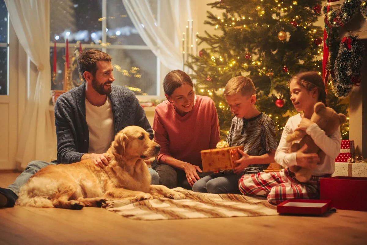 Comment vivre Noël avec une famille recomposée ? - La lumière de Noël